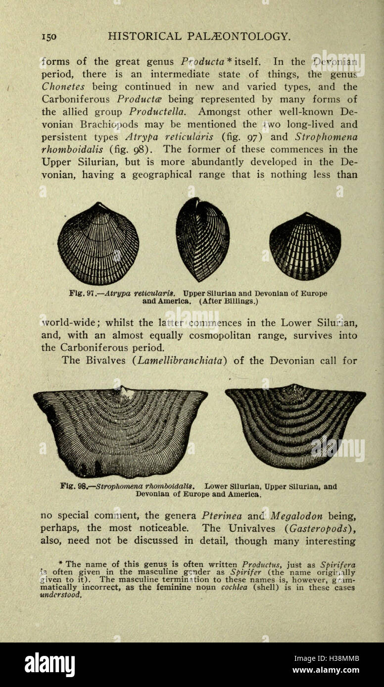 This page presents a historical overview of Earth's life, from its ...
