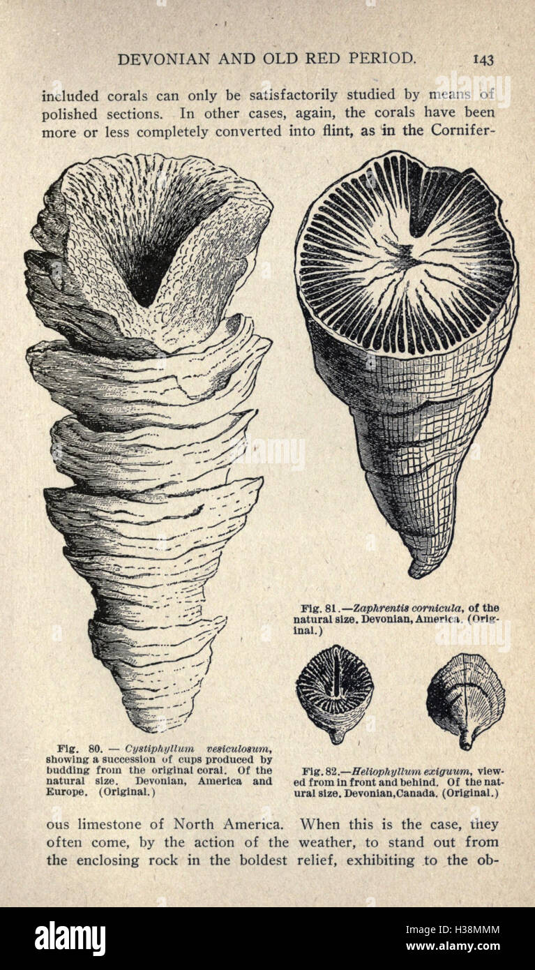 This page provides an overview of the Earth's ancient life history ...