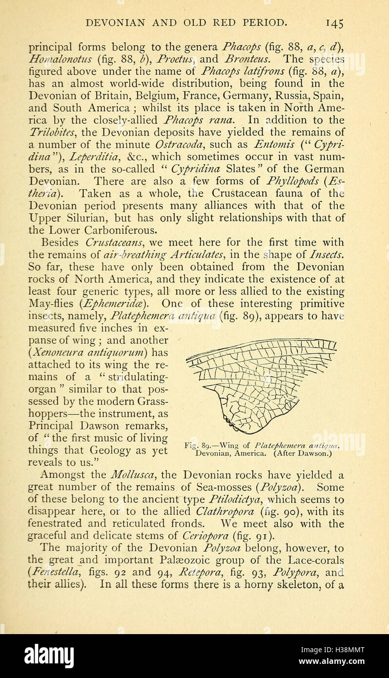 This page explores the early history of life on Earth, focusing on the ...