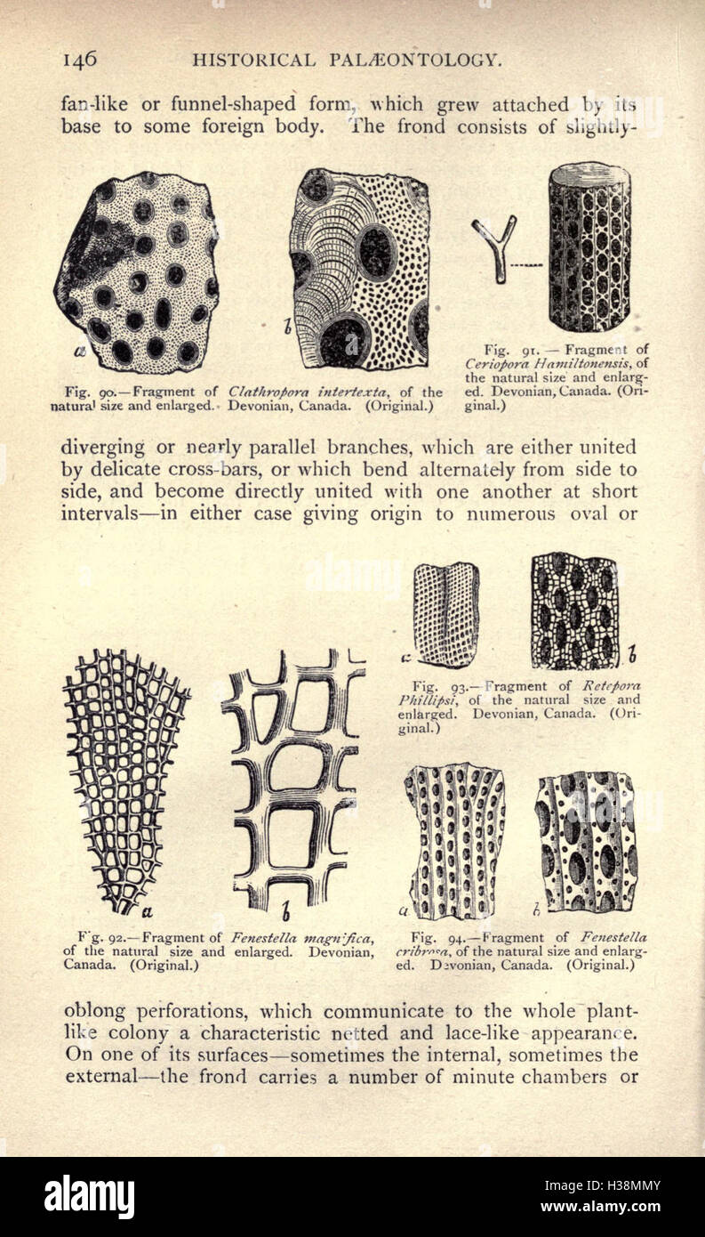 This text explores the geological history of Earth, detailing the ...