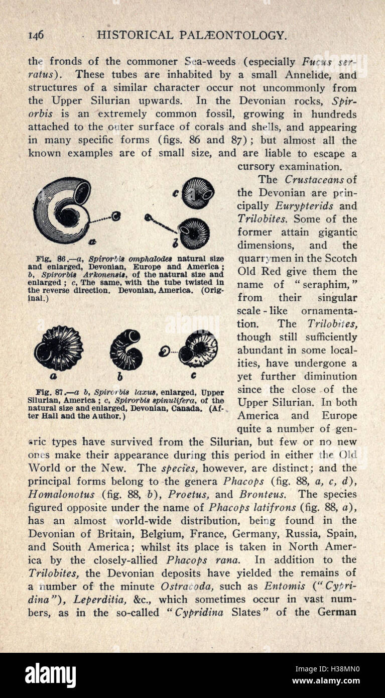 This work explores the geological and biological history of Earth ...