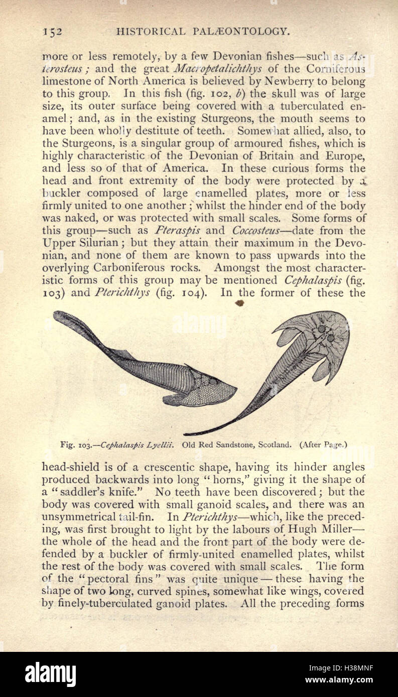 This work discusses the Earth's geological history, focusing on ancient ...