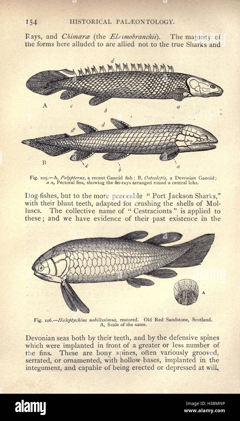 An exploration of the Earth's ancient life history, covering ...