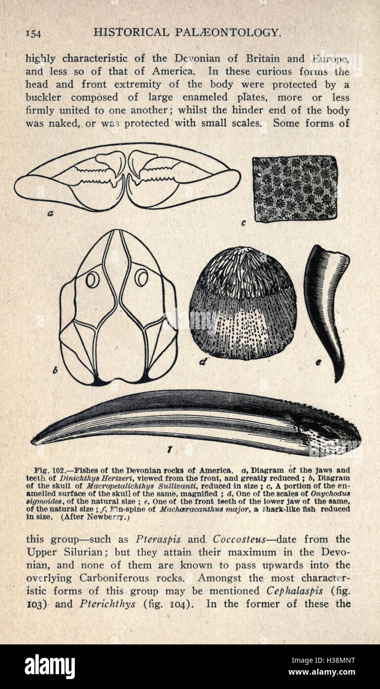 This work examines the geological and biological history of Earth ...