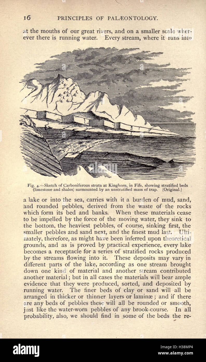 This work explores the geological history of Earth, emphasizing the ...