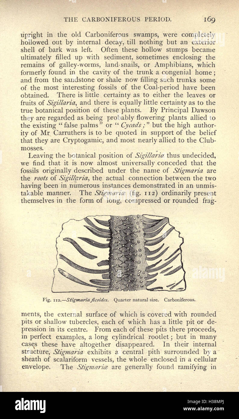 This text discusses the geological and biological history of Earth ...