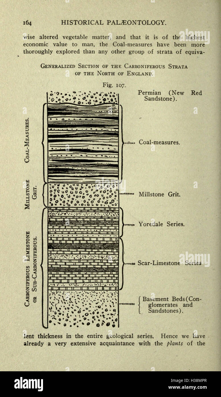 An exploration of Earth’s geological history, focusing on the ...