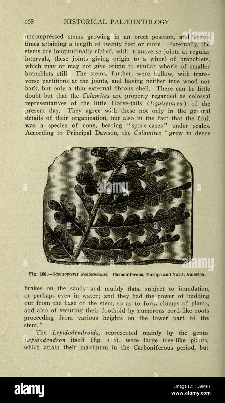 This text provides an overview of the Earth's geological history ...