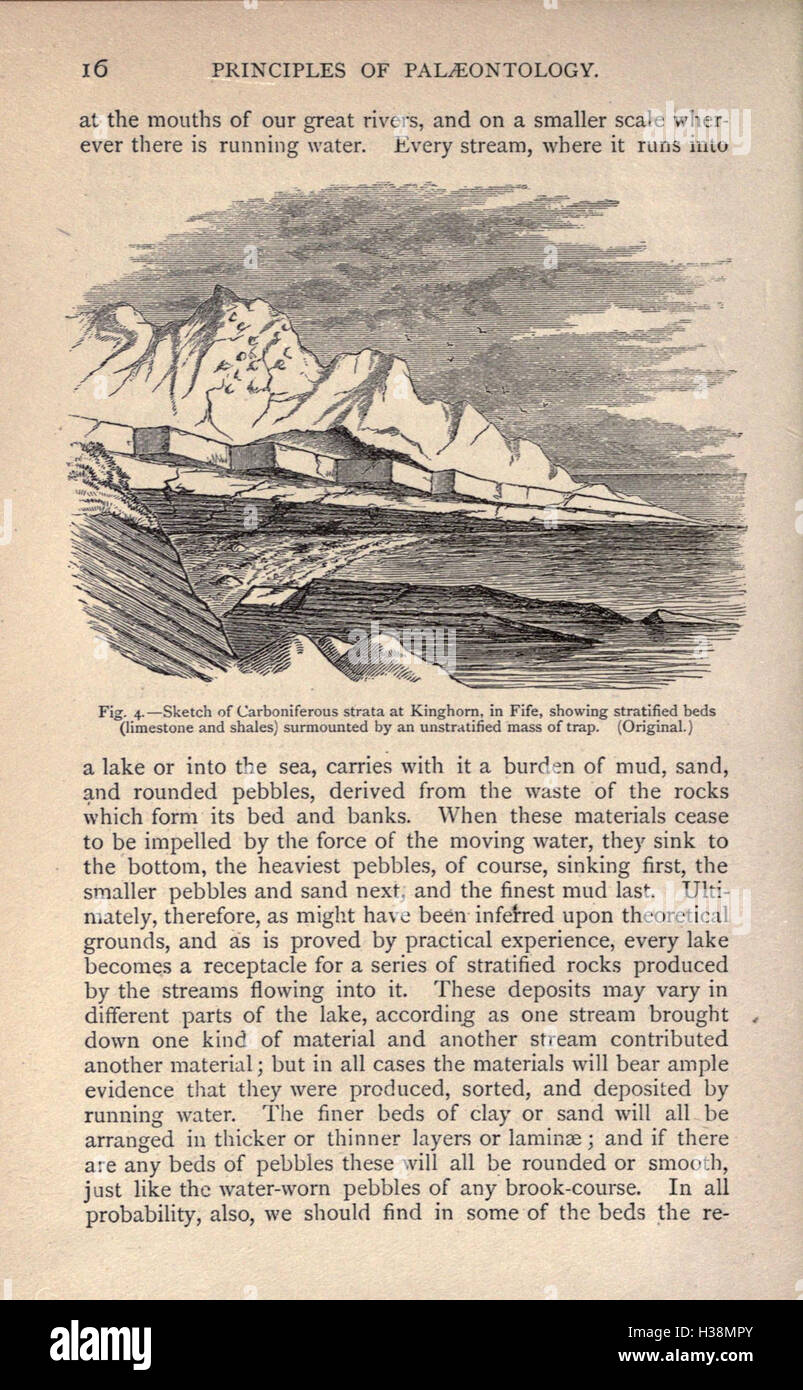 Timeline of life on earth hi-res stock photography and images - Alamy