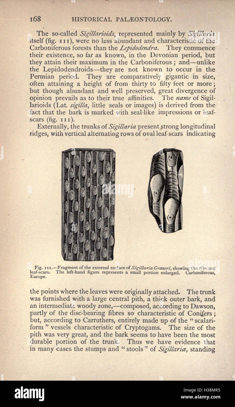 This work outlines the development of life on Earth, tracing the major ...