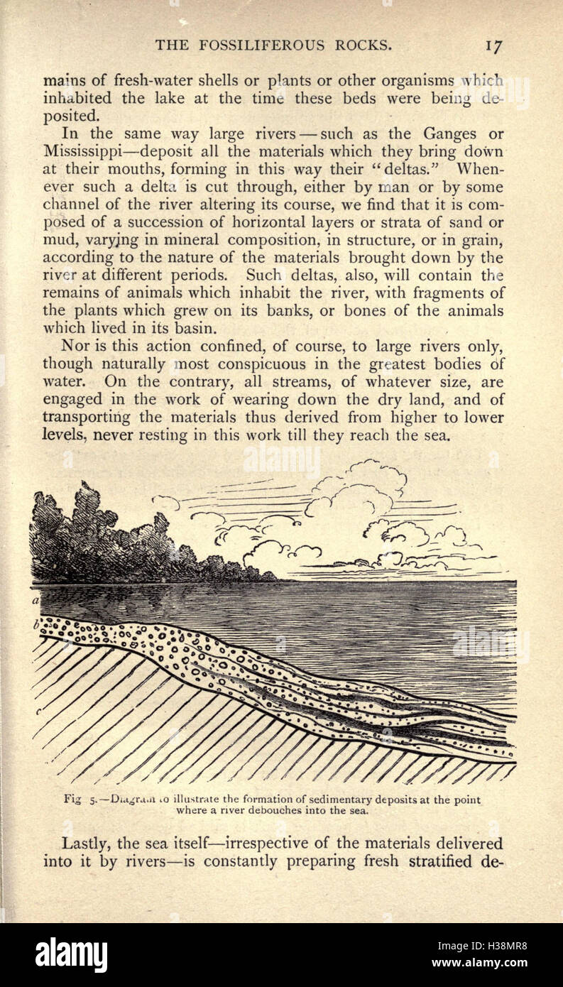 This work outlines the geological and biological history of Earth ...
