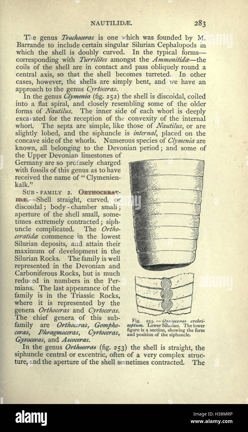 This manual offers an introduction to paleontology, including fossil ...
