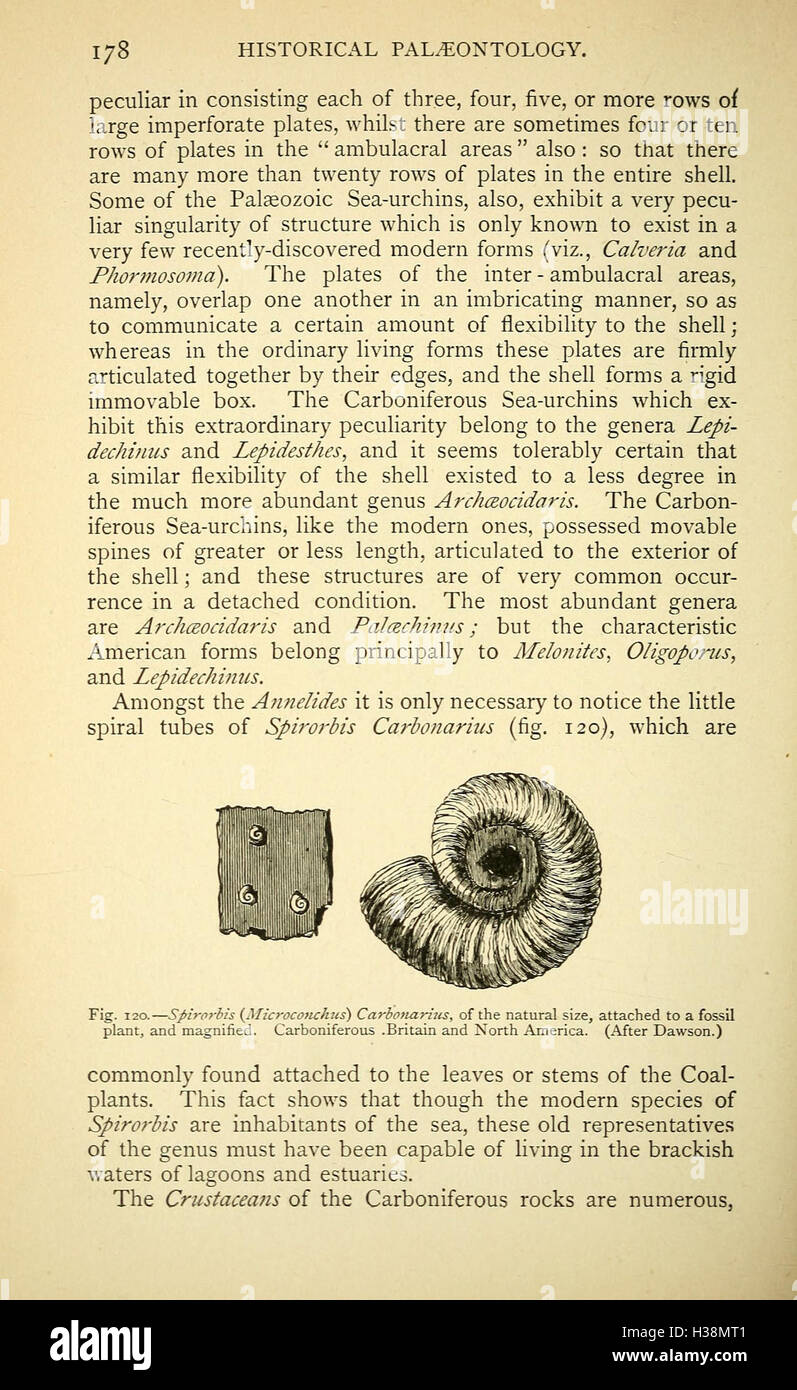 This book explores Earth's ancient history, focusing on the formation ...