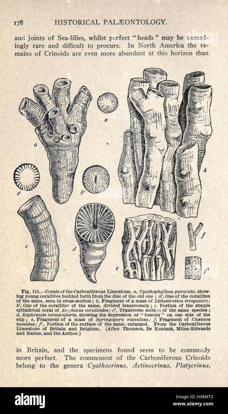 This page discusses the ancient life-history of Earth, including the ...