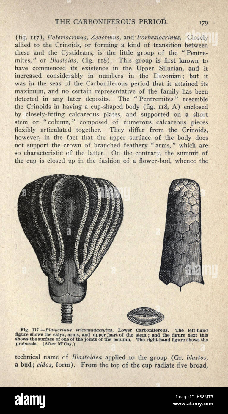 This page explores the history of ancient life on Earth, providing ...