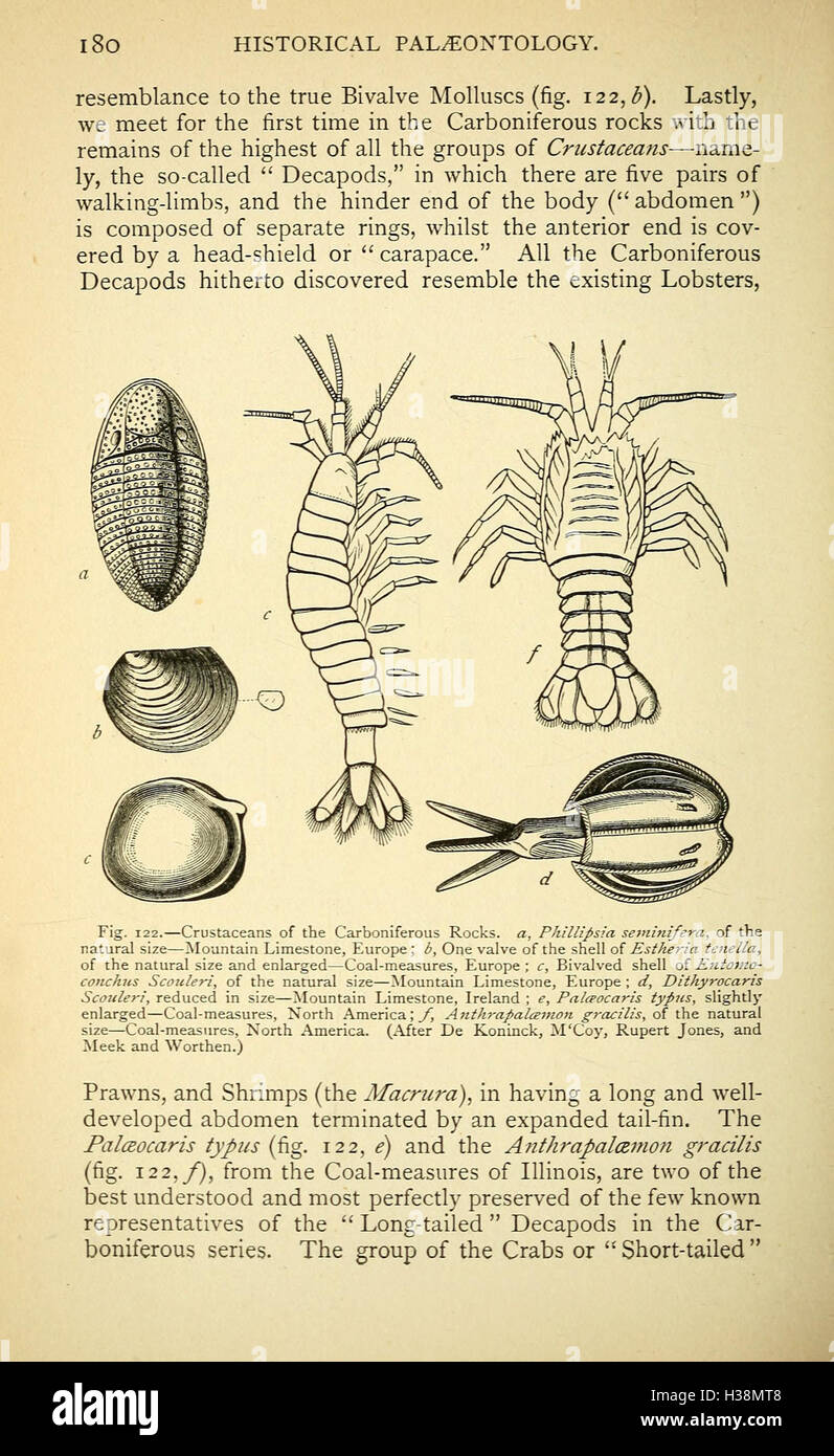 This work outlines the evolution of life on Earth, focusing on the ...