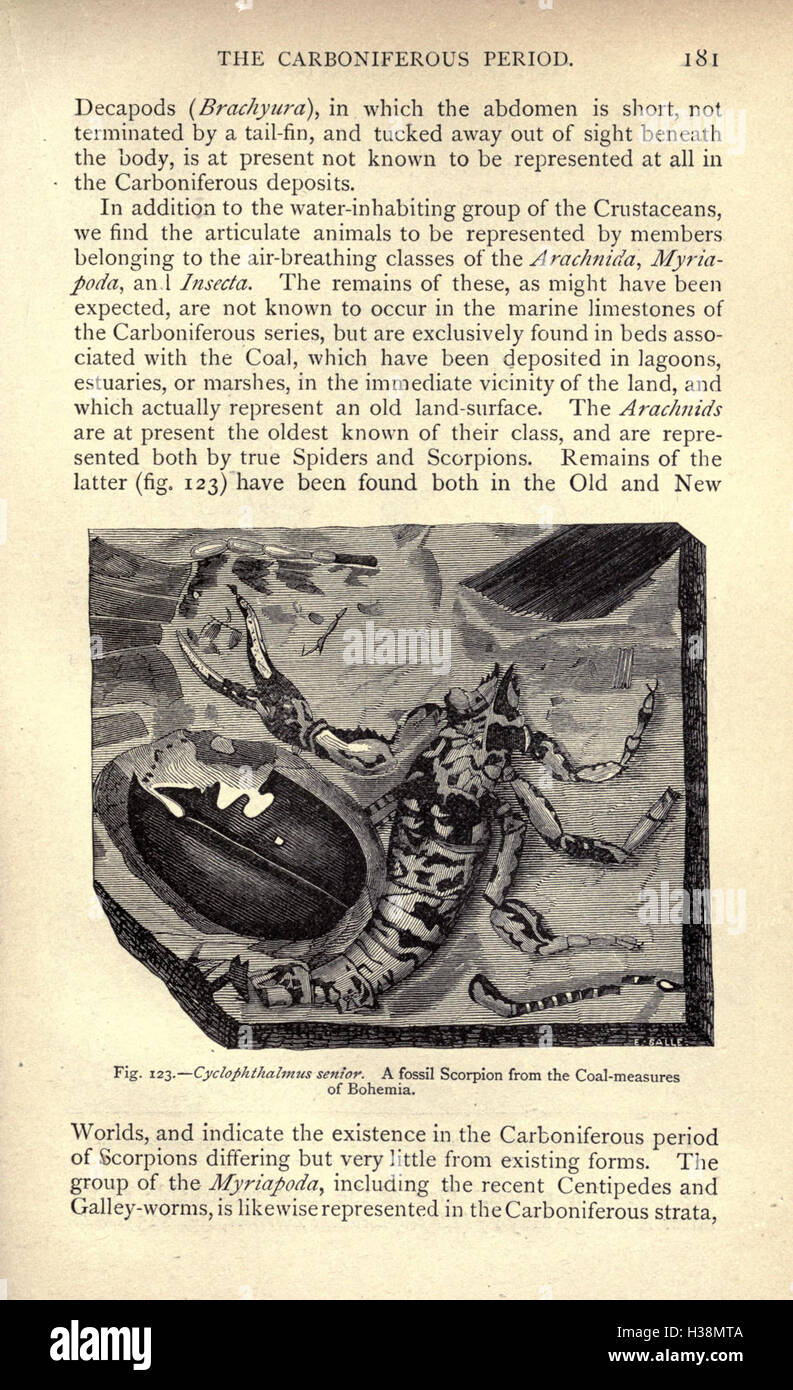 This book traces the history of life on Earth, from the earliest ...