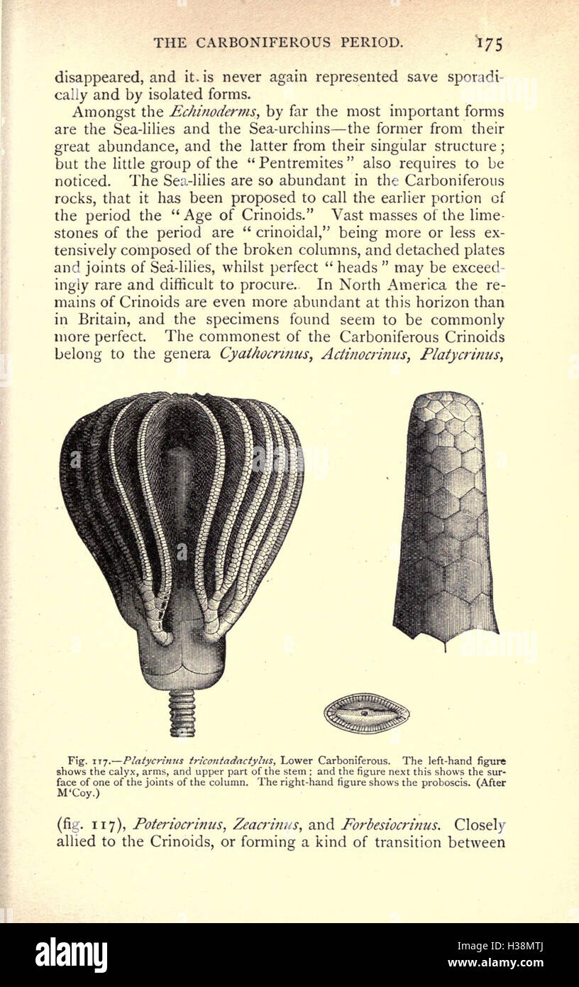 This work outlines the Earth's life history, exploring the evolution of ...