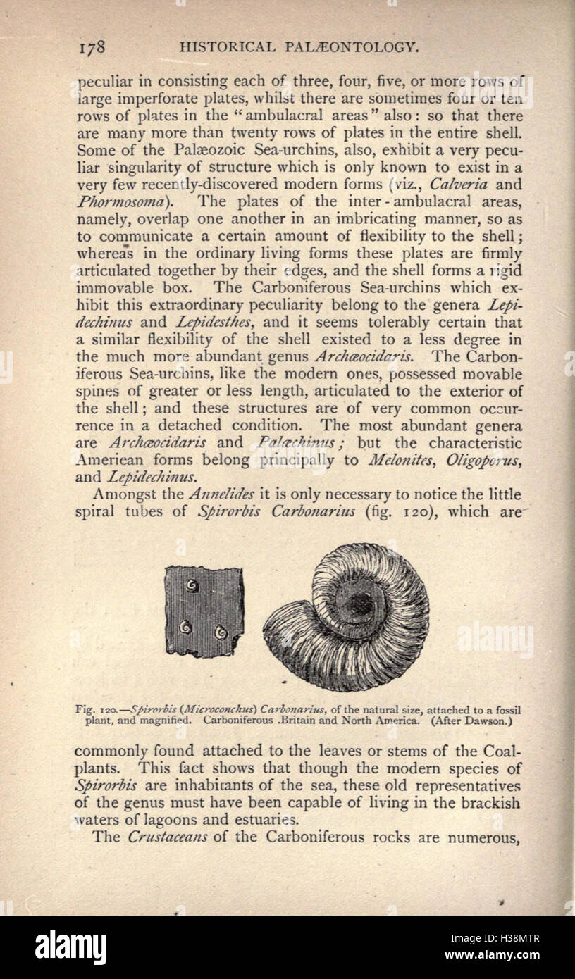 This work provides a comprehensive overview of Earth's ancient life ...