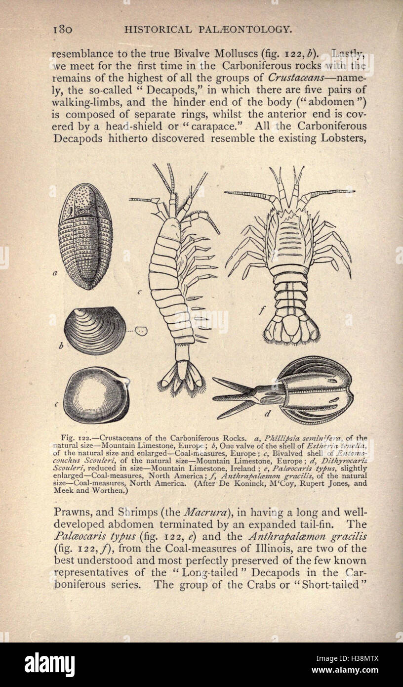 The Ancient Life-History of the Earth outlines the development of life ...
