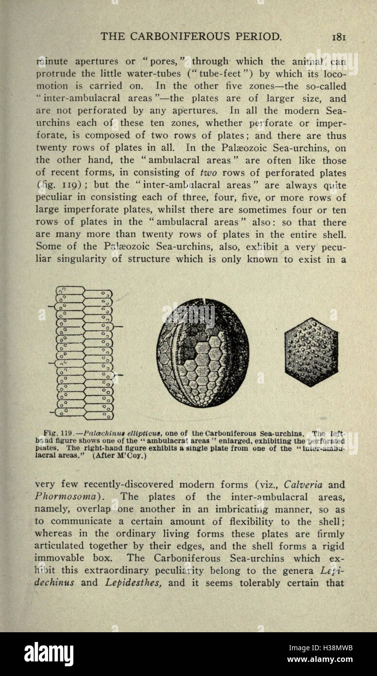 Formation of the earth stages hi-res stock photography and images - Alamy