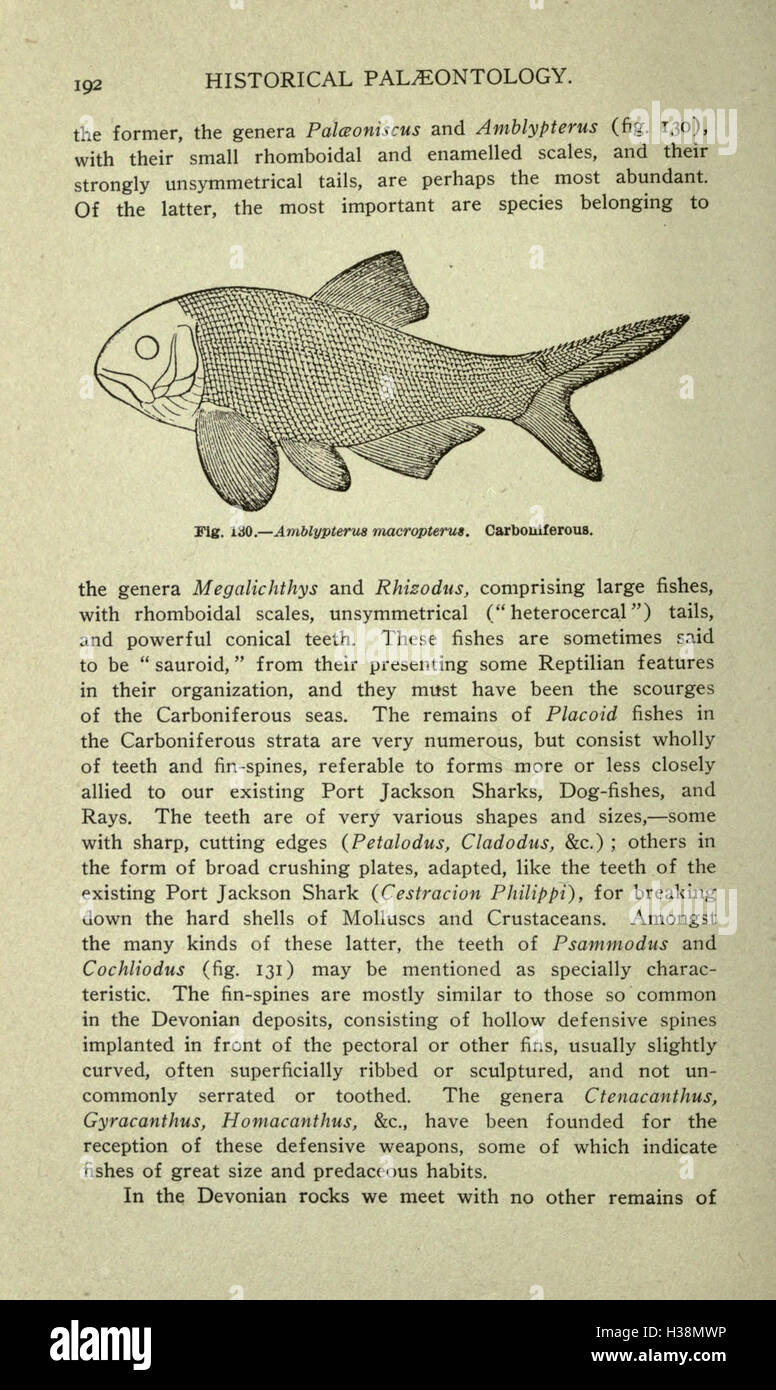 Insights into Earth's early life forms from page 192 of 'The Ancient ...