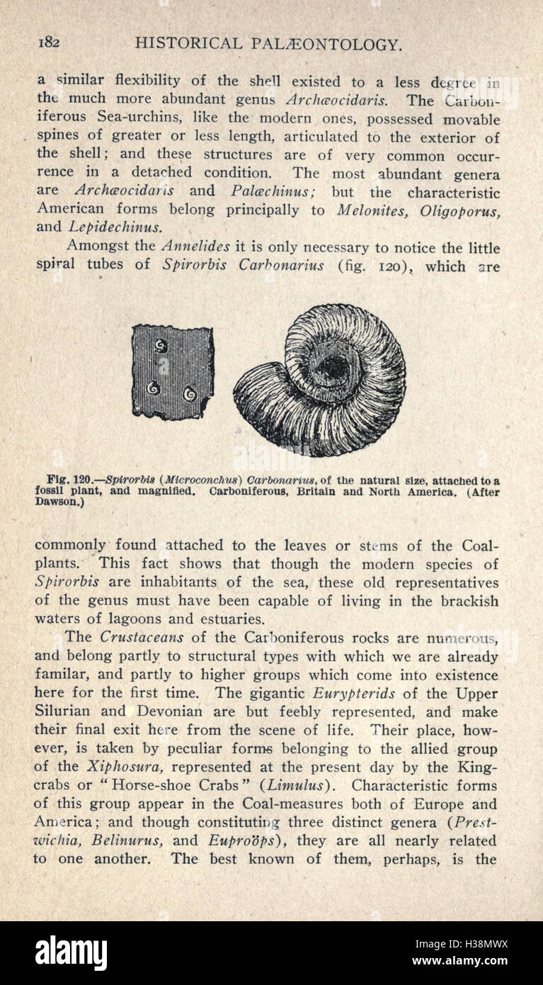 This work provides an overview of the Earth's ancient life history ...