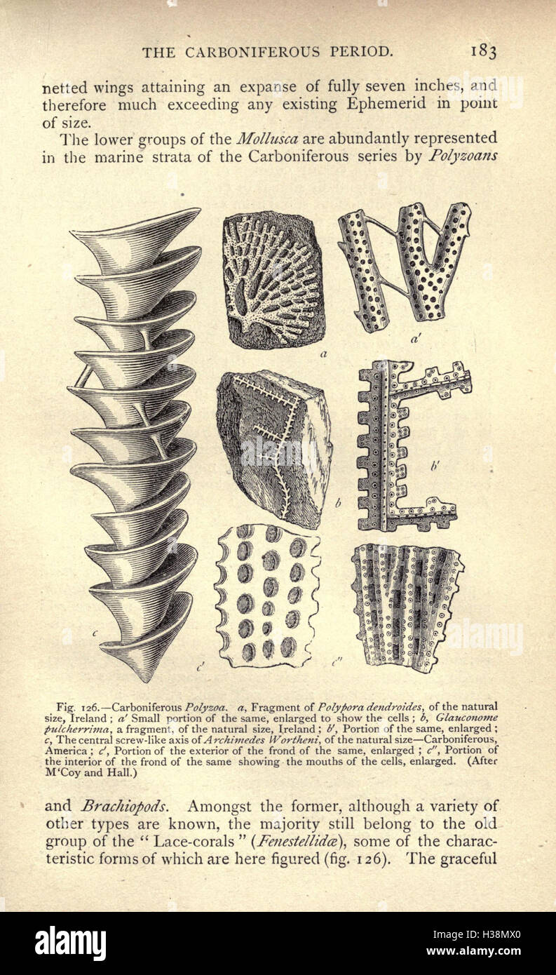 This work traces the geological and biological history of Earth ...