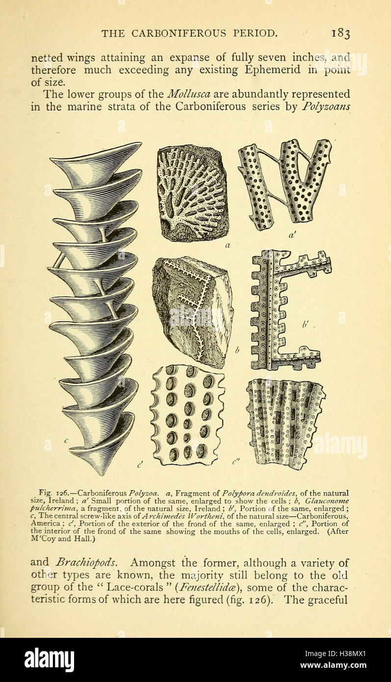 This text explores the history of life on Earth, from the earliest ...