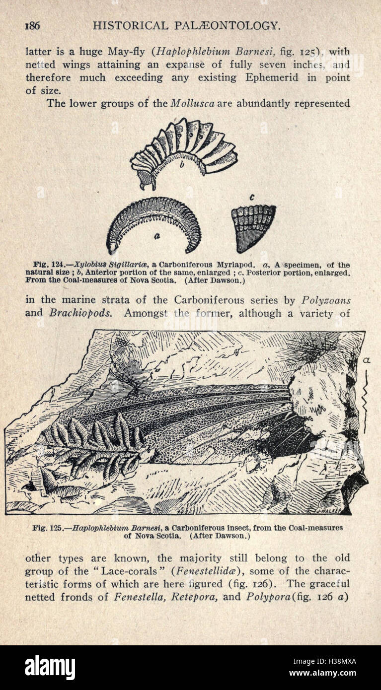 This book examines Earth's geological and biological history, from the ...