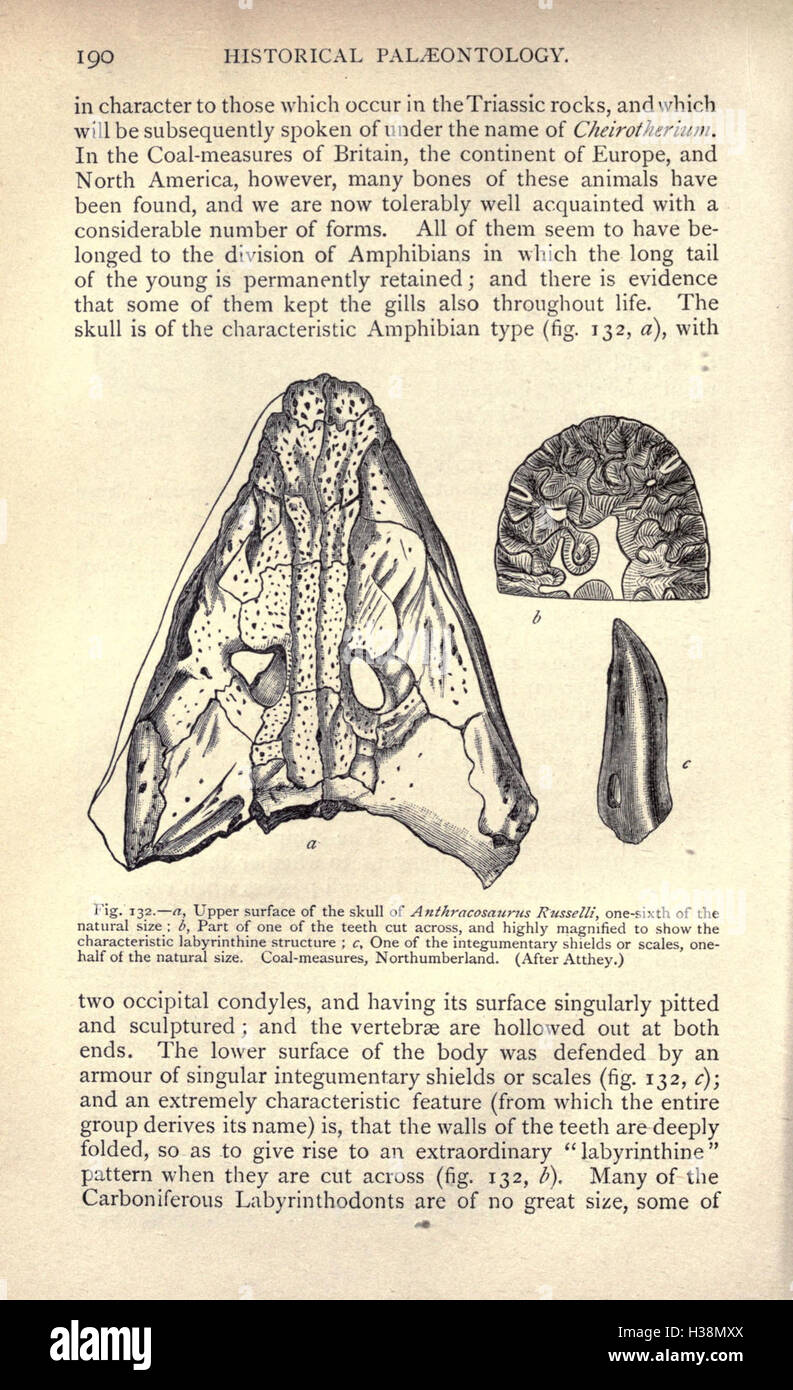 This work covers the history of life on Earth, detailing the ...