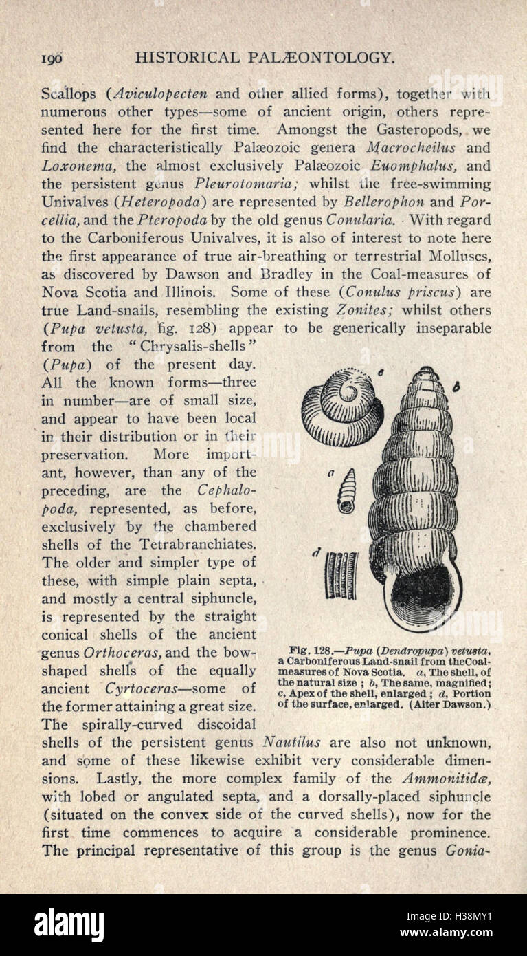A study of the Earth’s life history, focusing on the development of ...