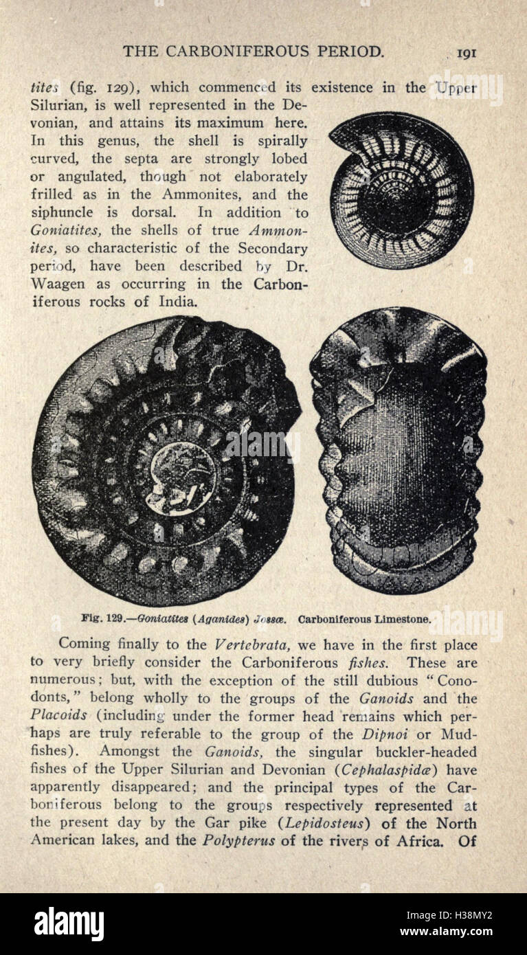 This work traces the history of life on Earth from its origins to the ...