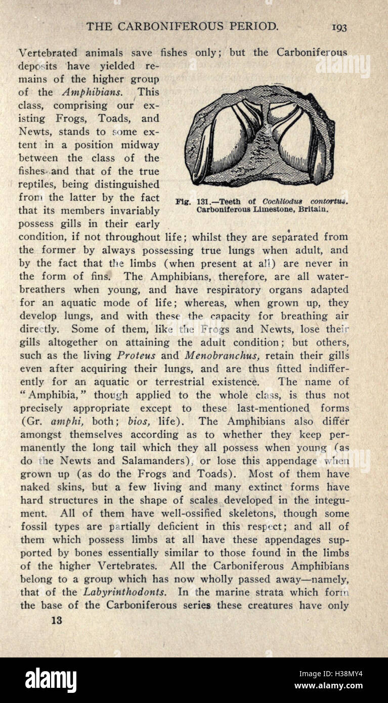 This text outlines the evolutionary history of life on Earth, from its ...