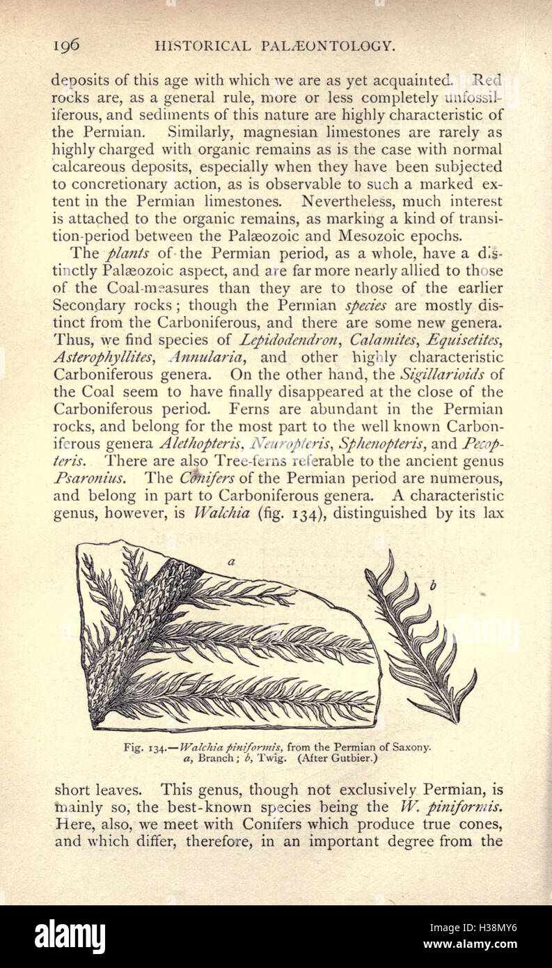 This work discusses the ancient history of Earth’s life, covering key ...
