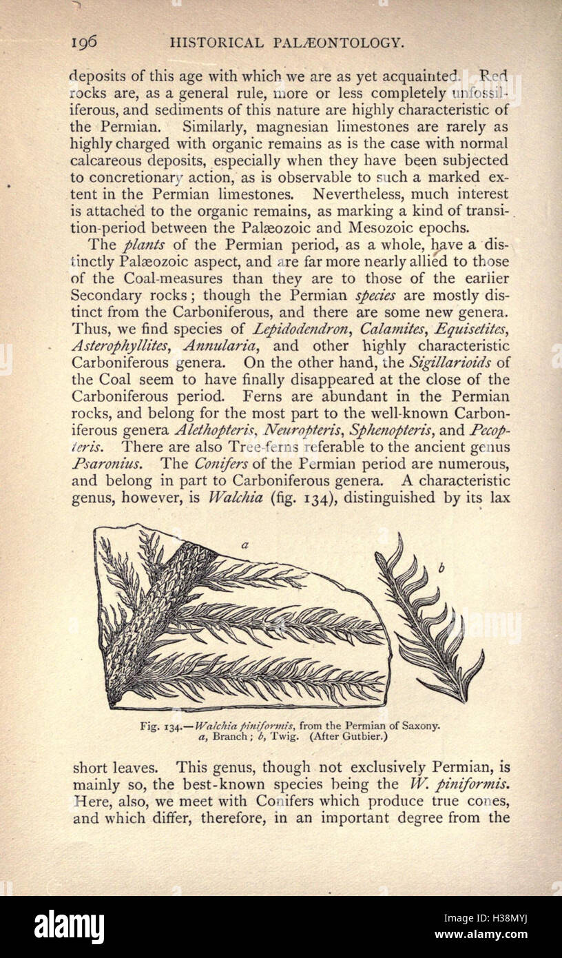 This page outlines the early history of life on Earth, focusing on ...