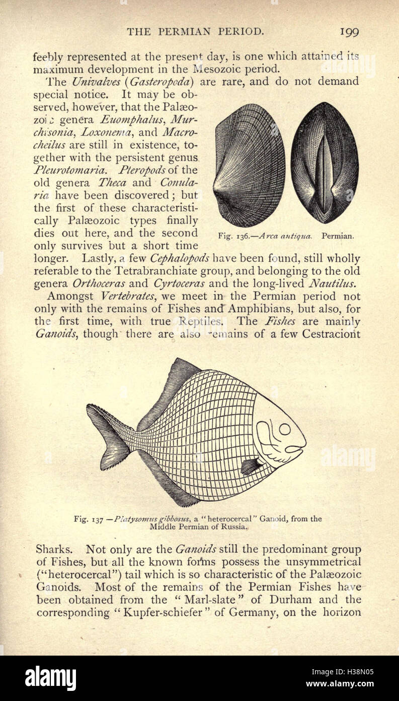 This work explores the history of life on Earth, providing a ...