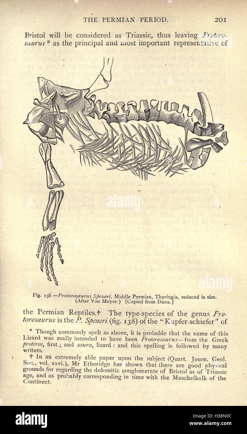 A comprehensive overview of Earth's ancient history, from the earliest ...