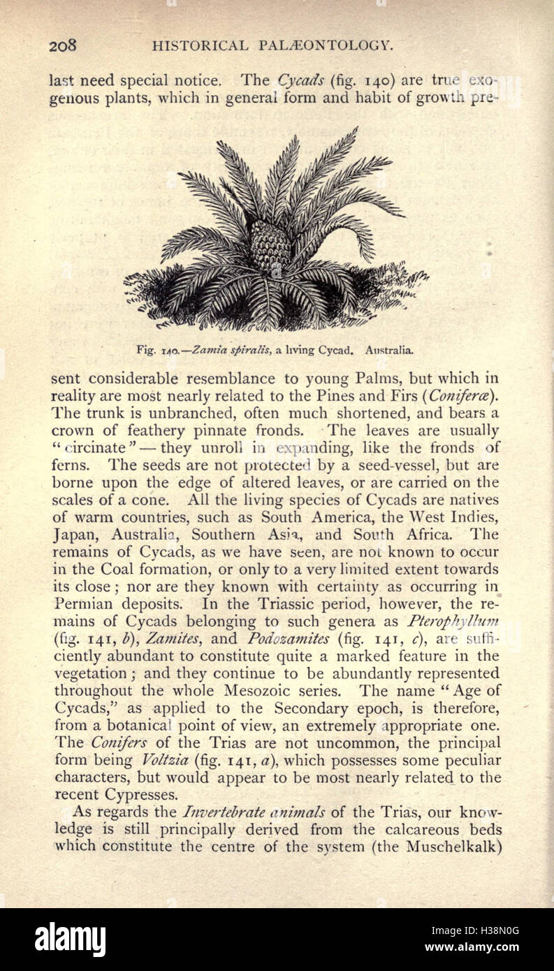 This work traces the history of life on Earth, from its earliest ...