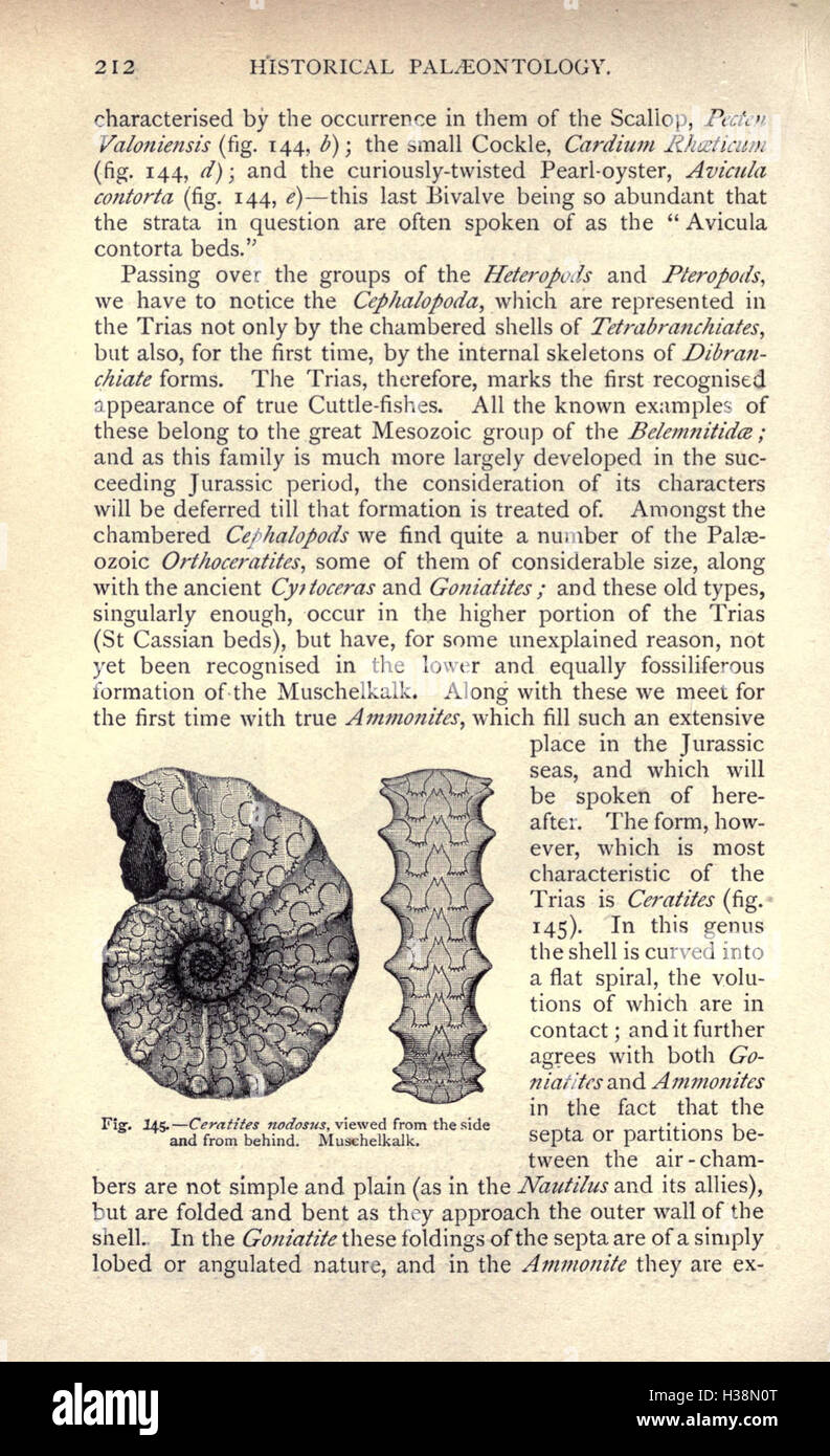 An exploration of the Earth’s ancient life history, focusing on early ...