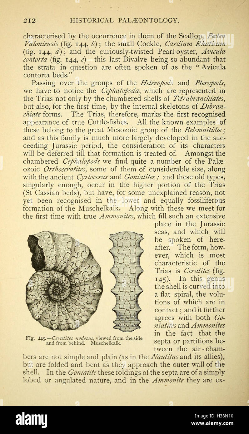 This page continues the exploration of Earth’s ancient life history ...