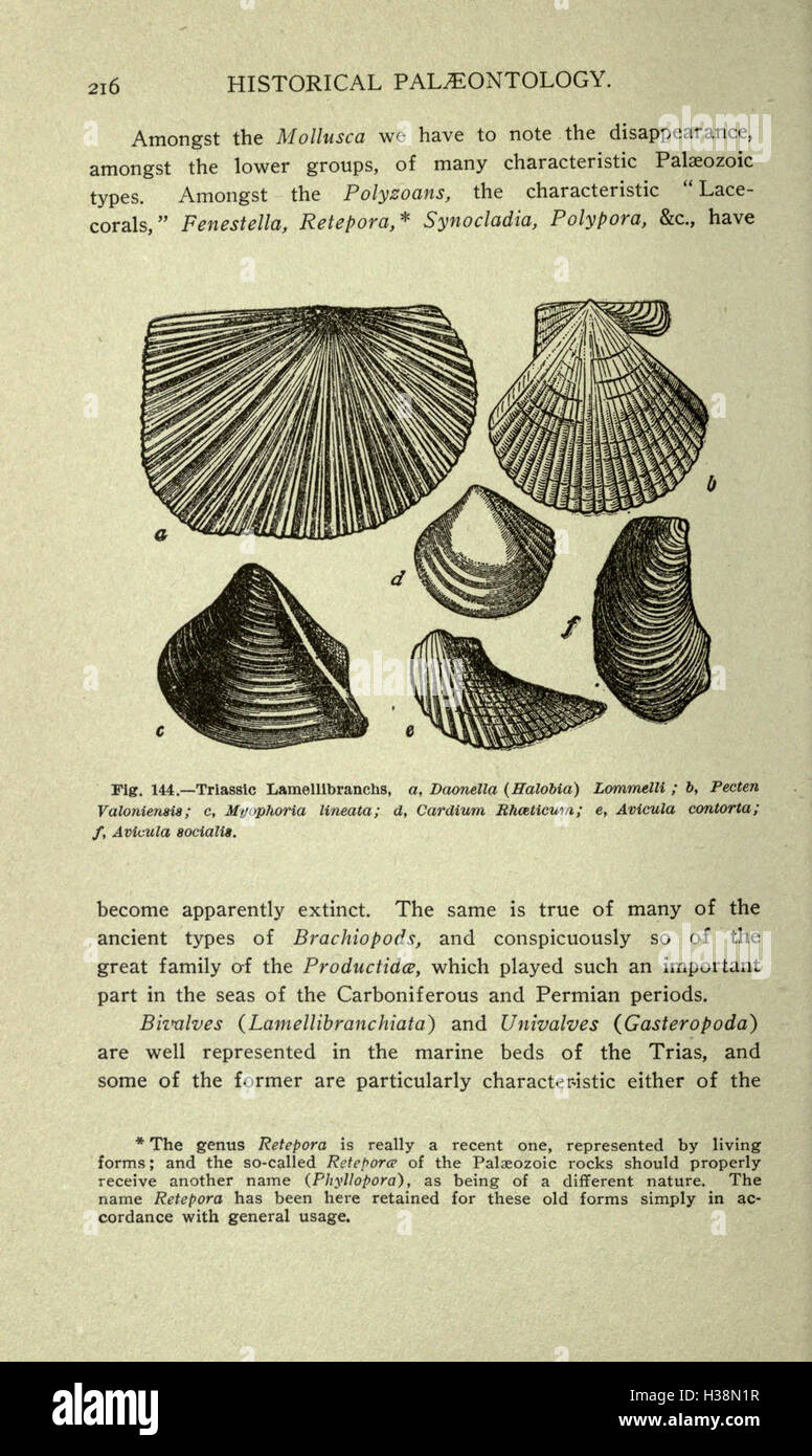 This text explores the geological and biological history of Earth ...