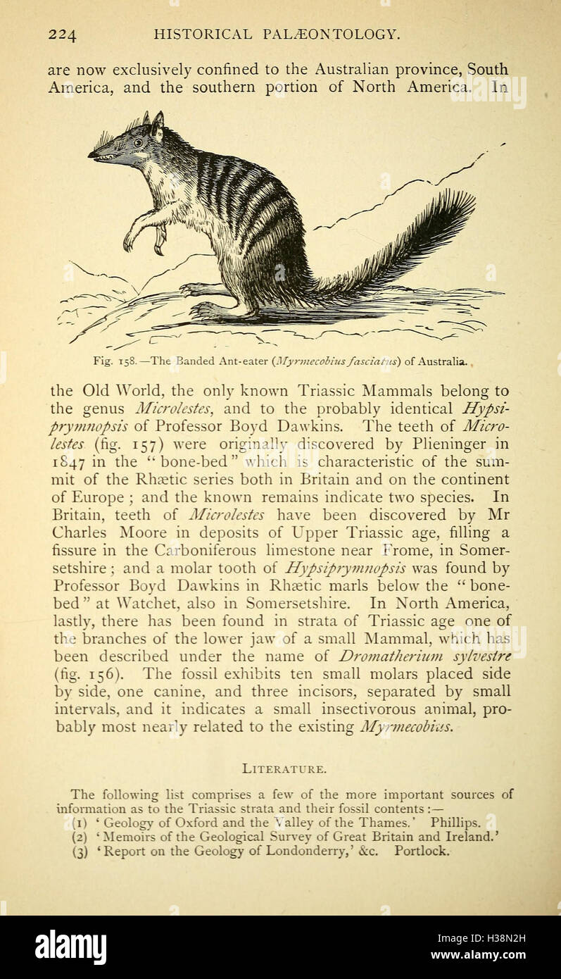 This work discusses the geological and biological history of Earth ...