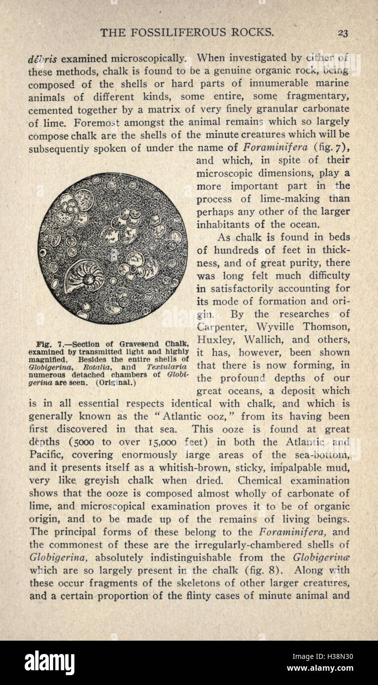 This work presents the geological and biological evolution of Earth ...