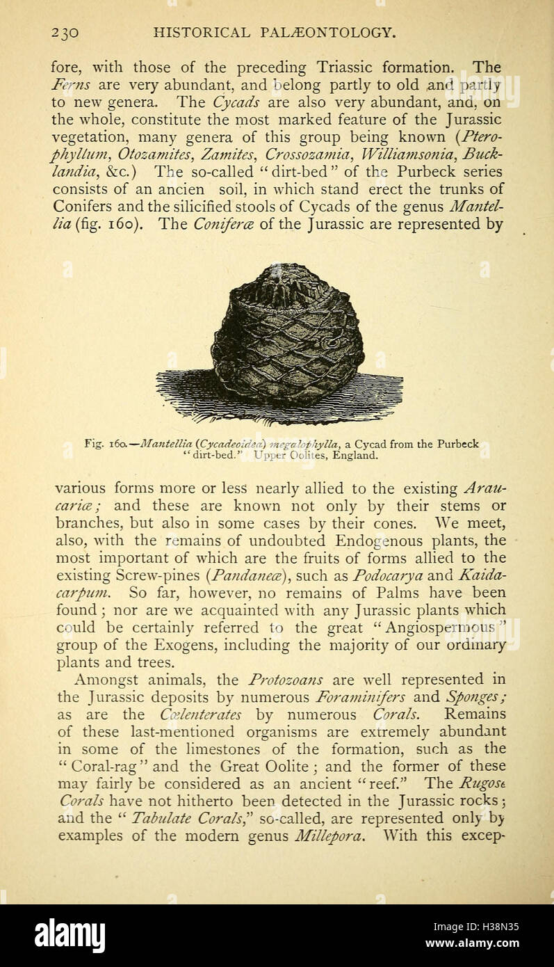 This work examines the geological history of Earth, focusing on the ...