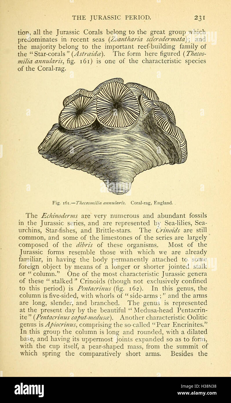 This work provides an overview of Earth's ancient life history ...
