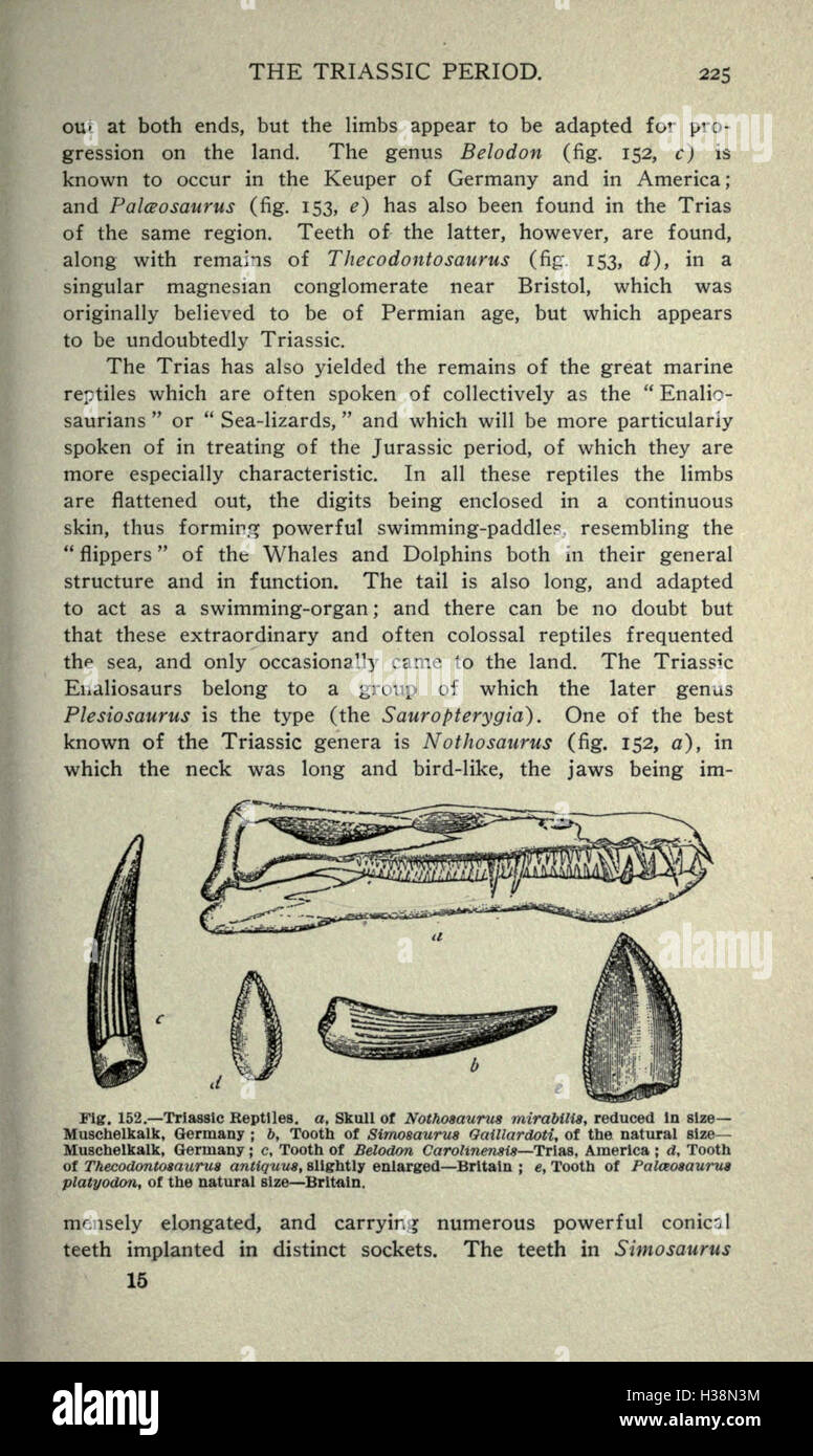 This work explores the geological history of Earth, detailing the ...