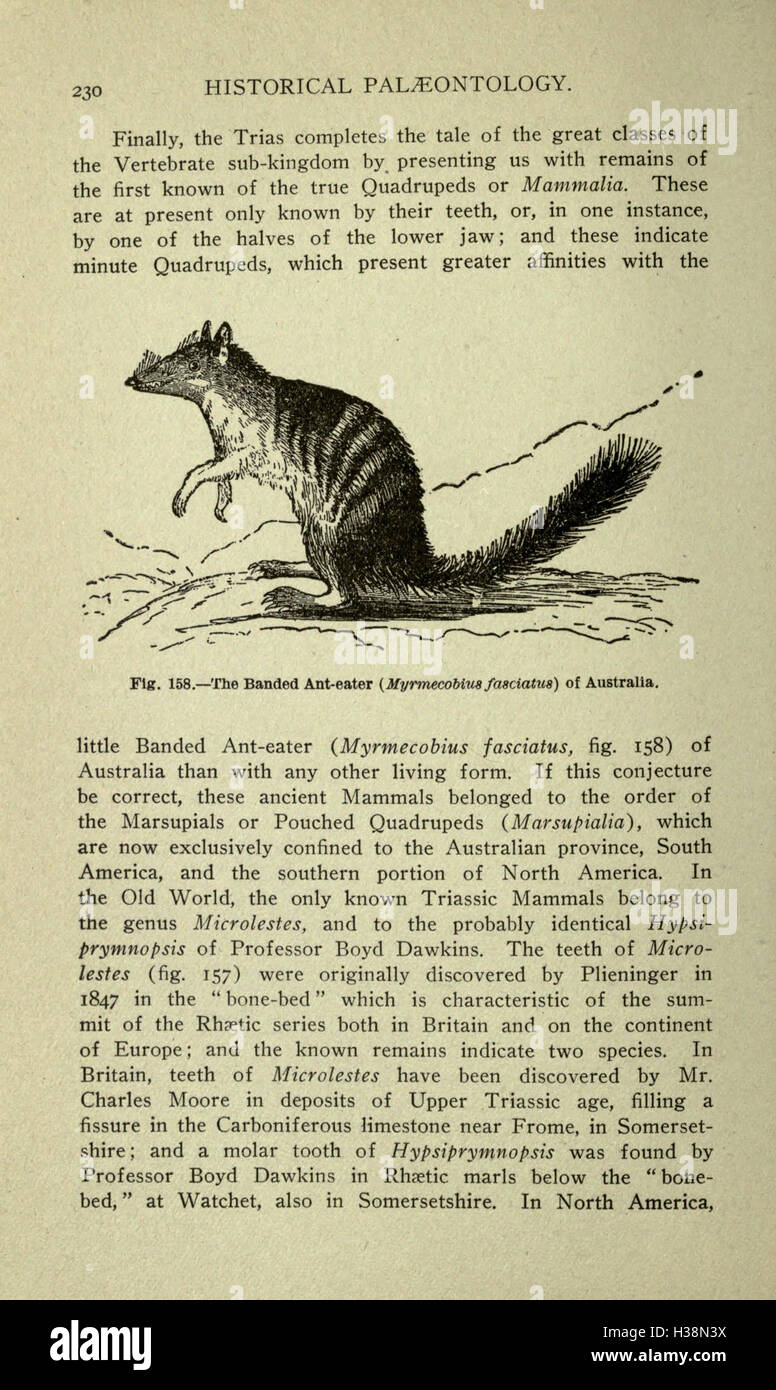 This work continues the exploration of Earth’s ancient life-history ...