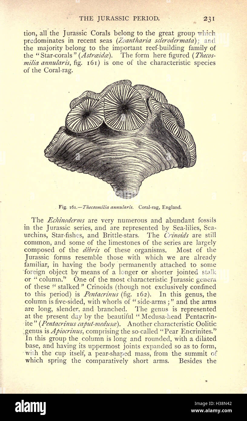 This book explores the history of life on Earth, from the earliest ...