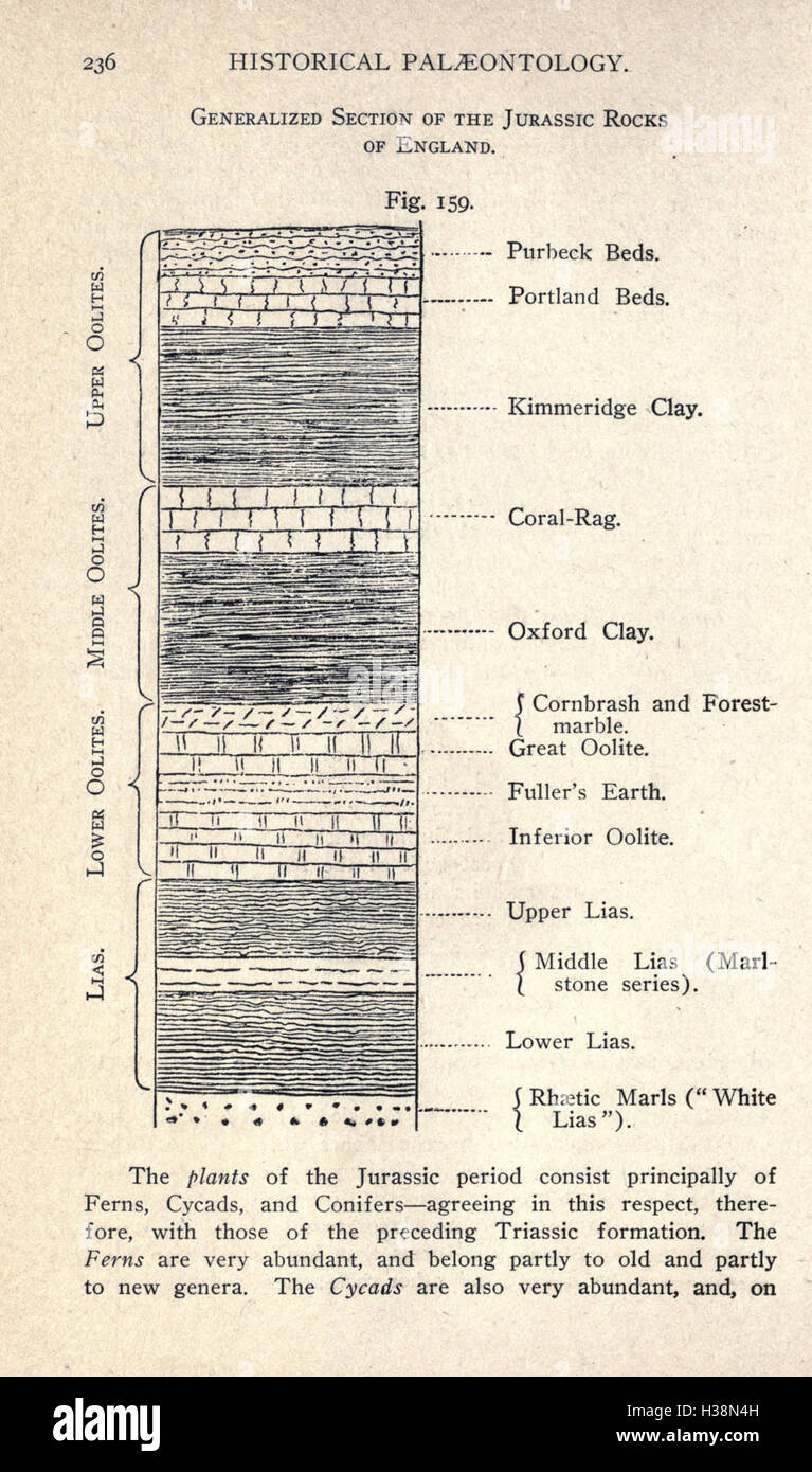 This work examines the history of Earth, focusing on geological changes ...
